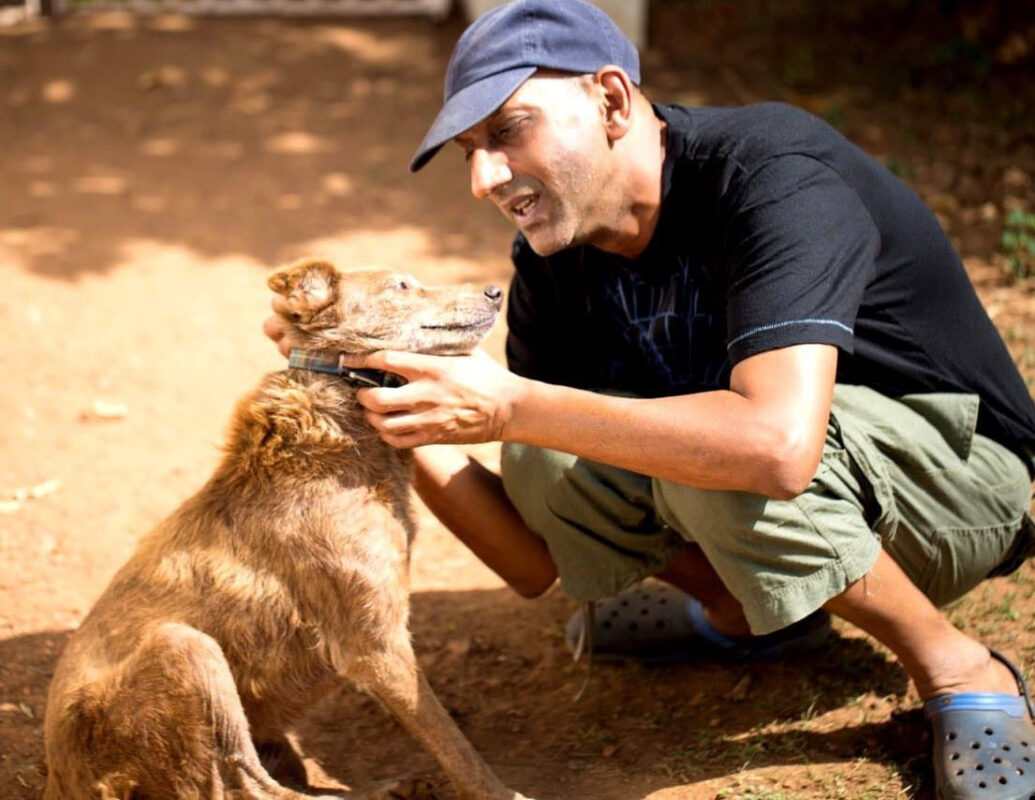 A Heroic Businessman Who Has Rescued Over 15,000 Injured Animals! - Be ...