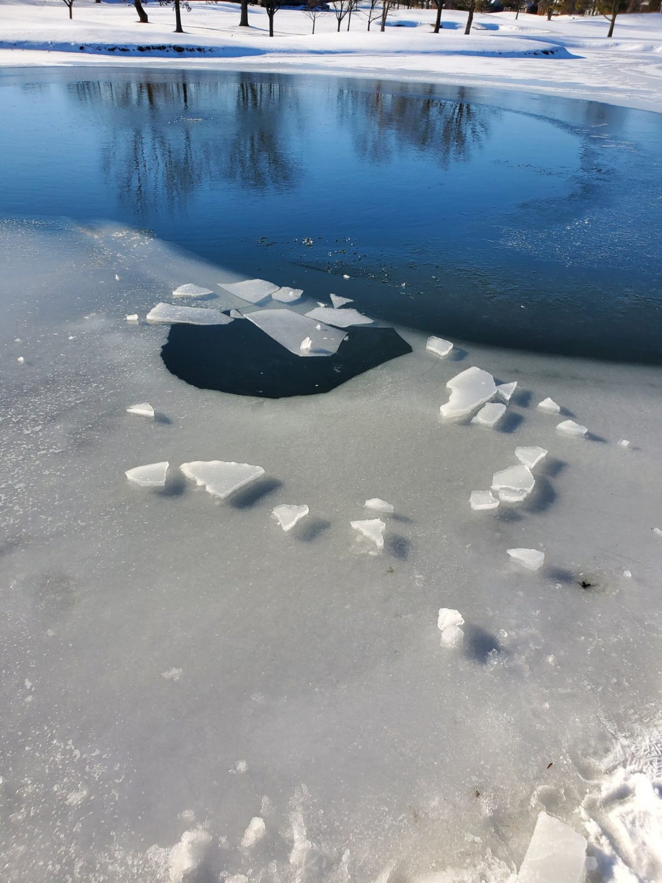 Ohio Deputy Rescues a Dog & Woman from Frozen Pond - Be Inspired