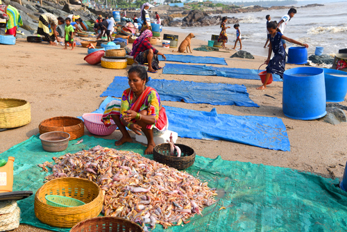 Koli Uses Traditional Knowledge to Improve Mumbai’s Coastal Ecosystem ...