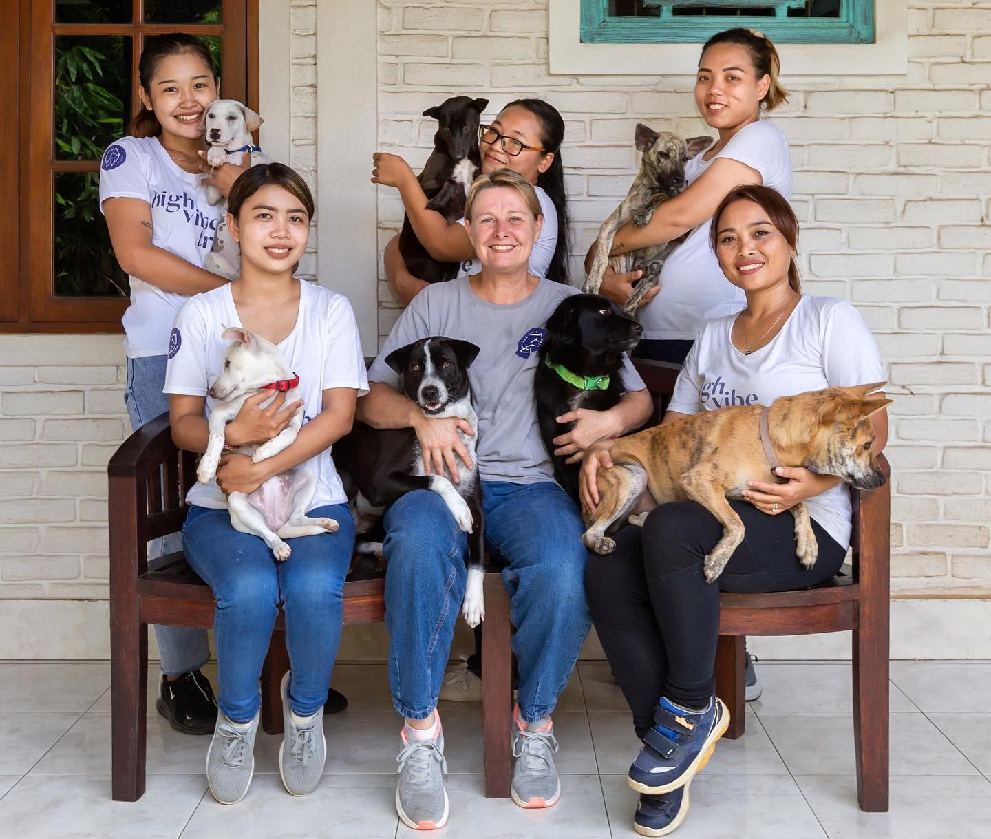 Bali’s Stray Animals Find Love Through Little Steps Matter - Be Inspired